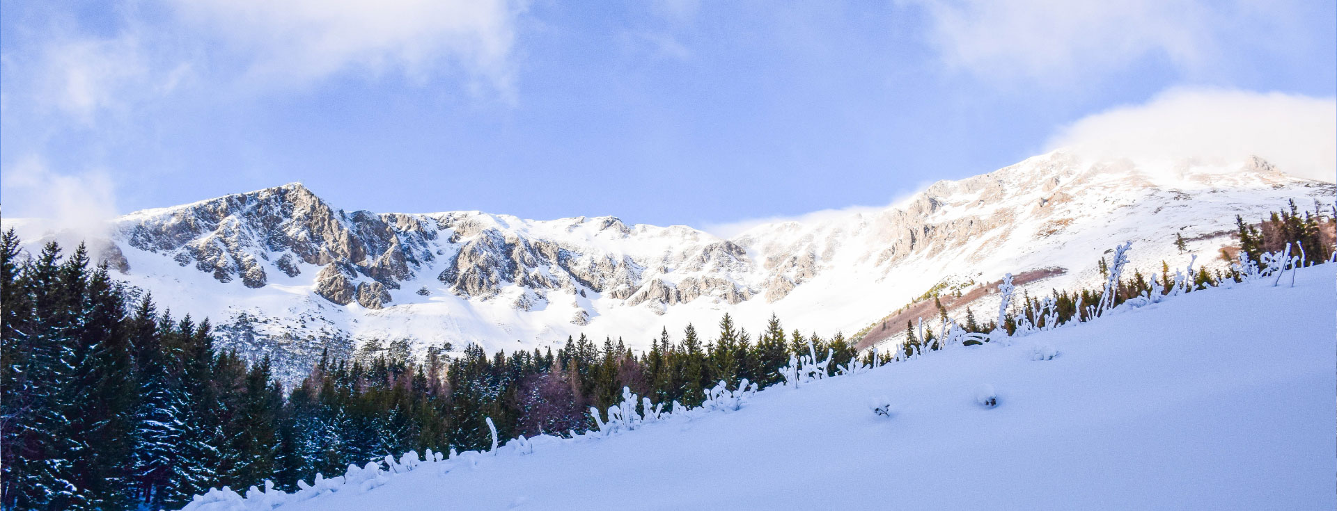 Winter Brunnalm – Hohe Veitsch